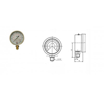 Pressure gauge DN 63 vertical connection with glycerin (1/4'' BSP ...